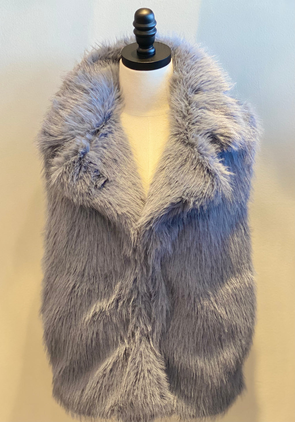 Do + Be Collection Anastasia Faux Fur Vest – Showroom56